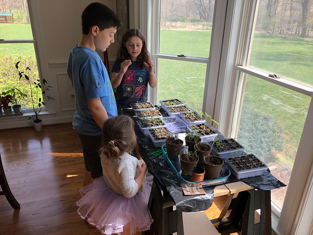 Blue House Kids | Activities, school, and art while quarantined with ...